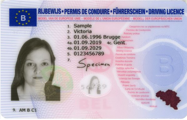Belgian Fake ID